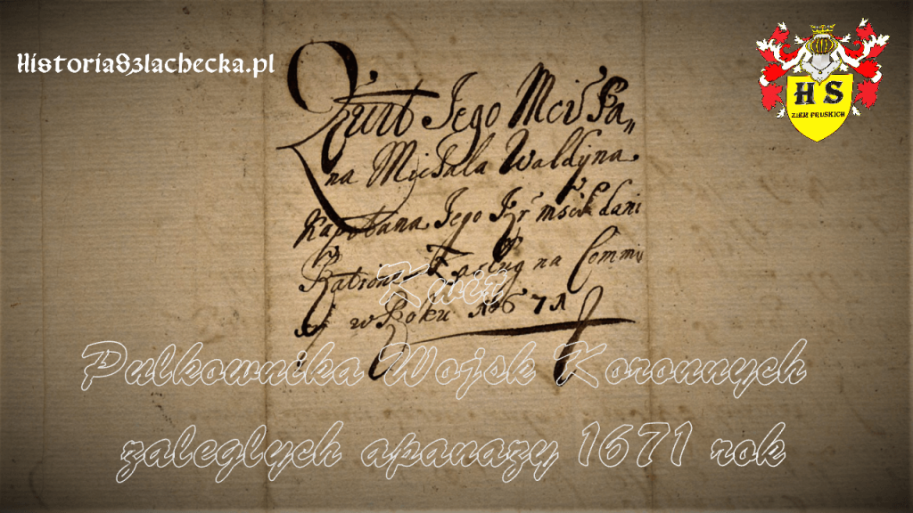 Król Jan II Kazimierz Waza - Historia Szlachecka